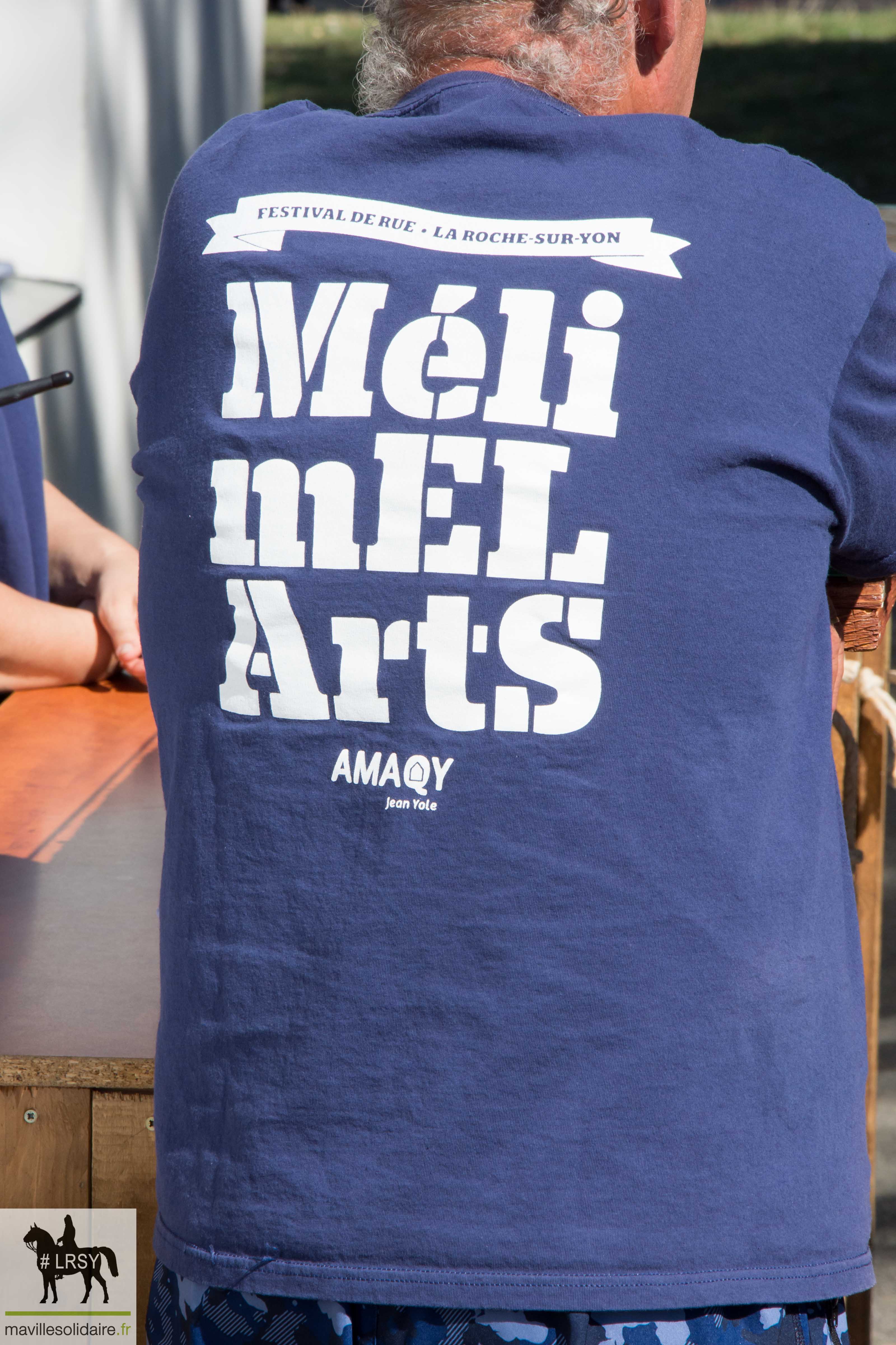 La Roche-sur-Yon. Les images du Festival Méli mel arts de samedi au ...